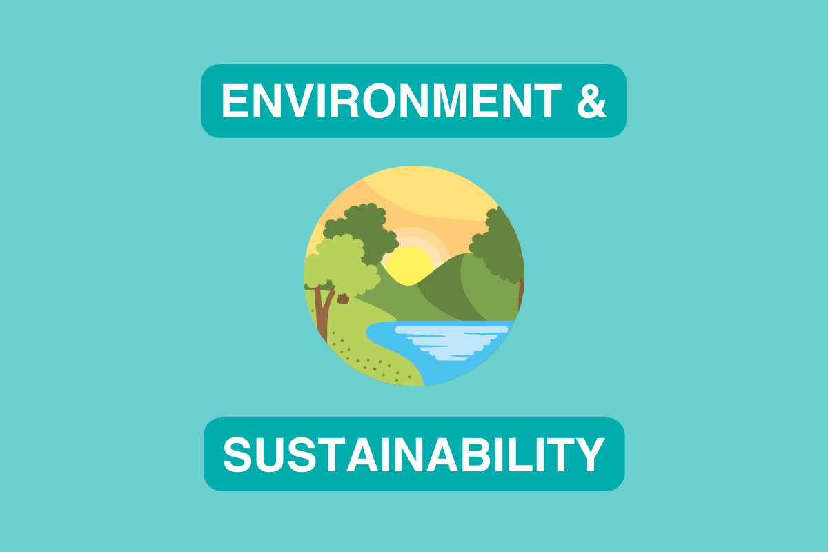 An update from the Environment and Sustainability Working Group - THE HOOT