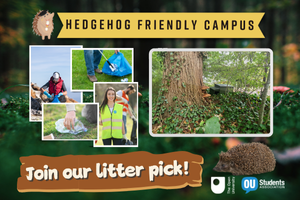The Big Hog Friendly Litter Pick Challenge - THE HOOT
